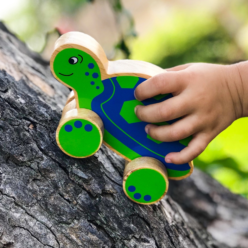 Wooden Toy Turtle Push Along | Fair Trade